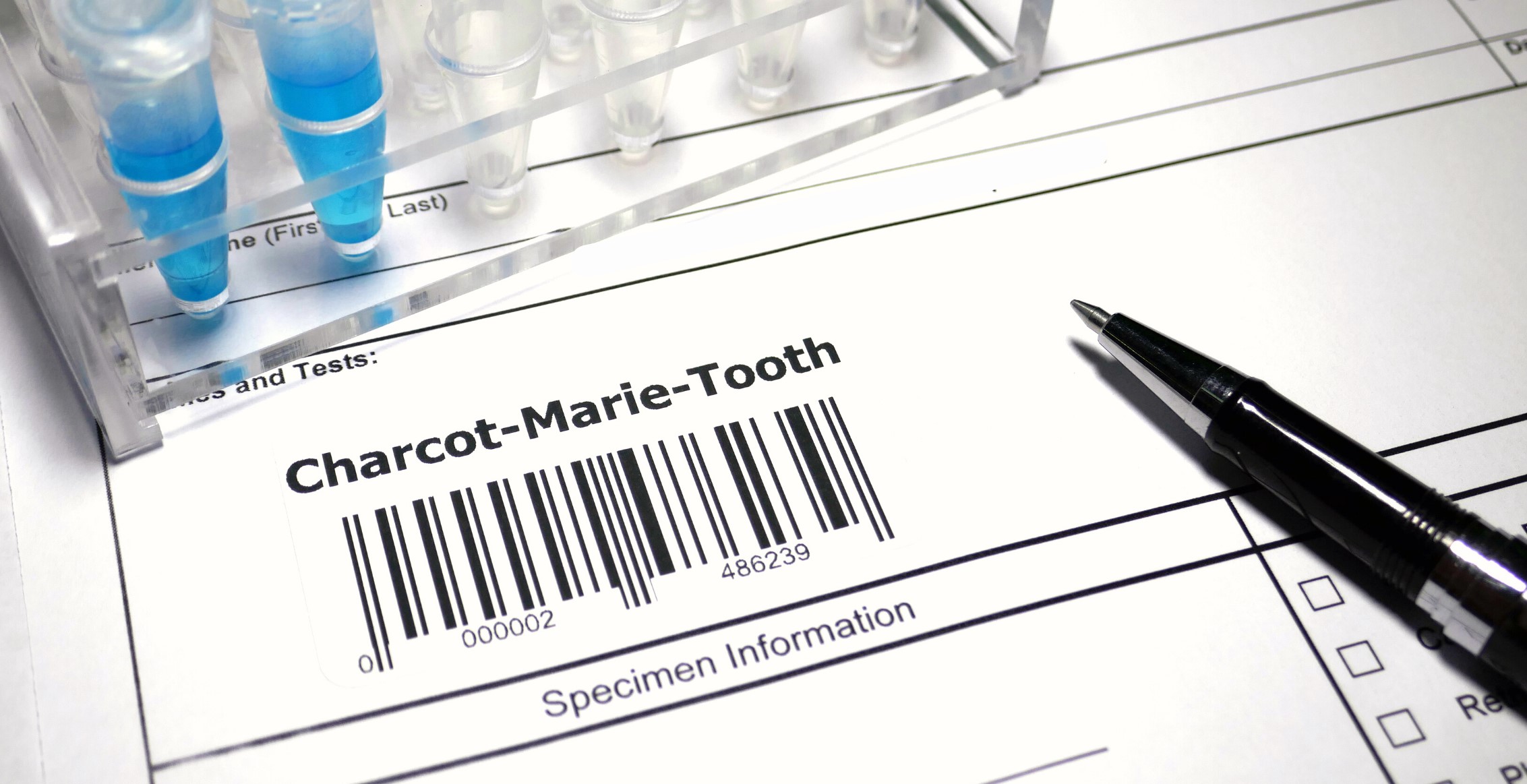 Charcot-Marie-Tooth disease: testing a combination of existing ...